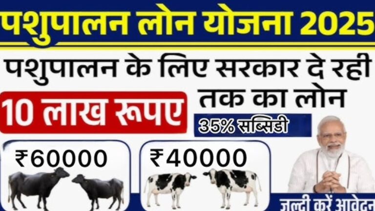 Pashupalan Loan Yojana: Filling of application form for Pashupalan Loan ...